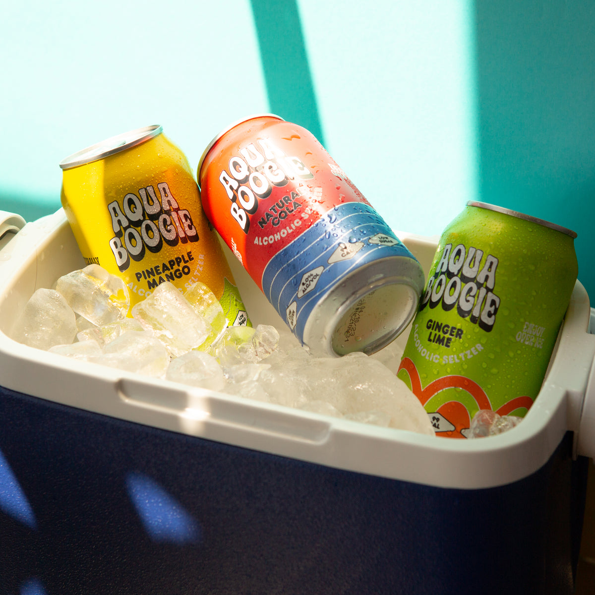 Aqua Boogie Mixed Case x 24